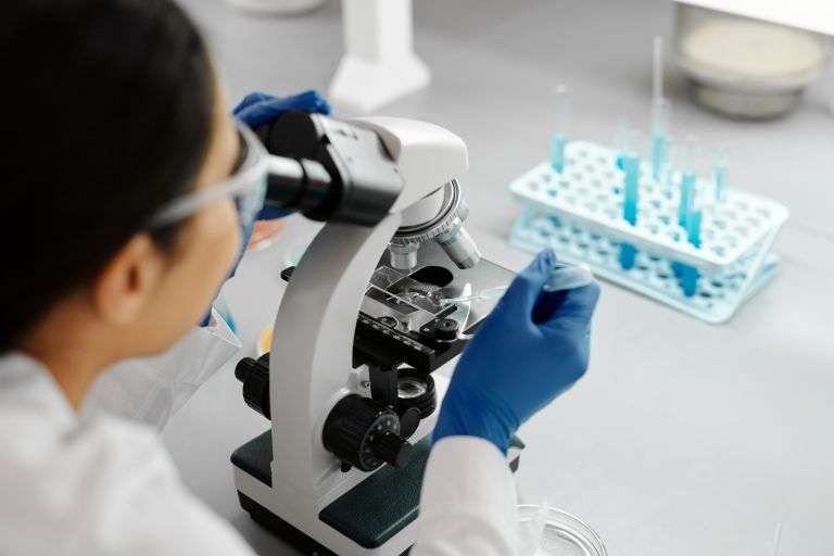 Fast, accurate Drug, Alcohol & DNA testing from AlphaBiolabs’ UK ...